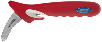 Handybar Car Transfer Handle – Capable Direct